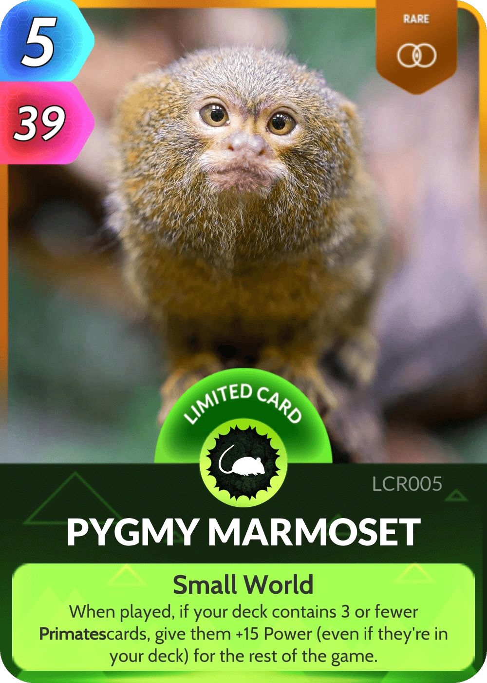 Pygmy Marmoset | Cards, the Universe and Everything Wiki | Fandom