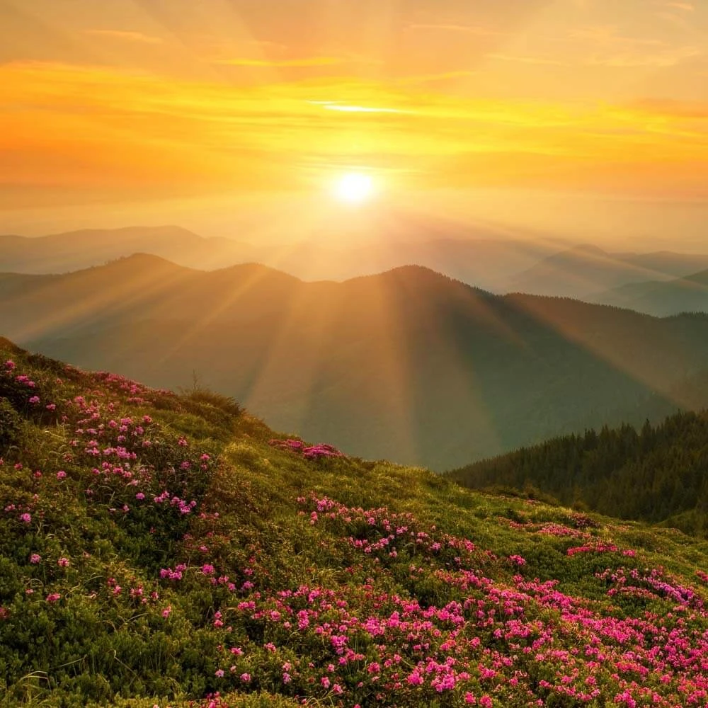 Sunrise Equation | Cards, the Universe and Everything Wiki | Fandom