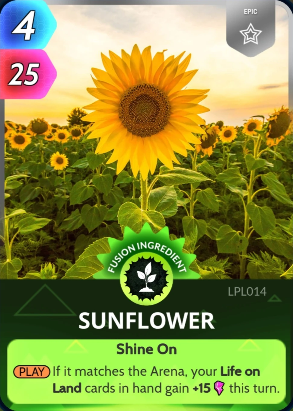 Sunflower | Cards, the Universe and Everything Wiki | Fandom