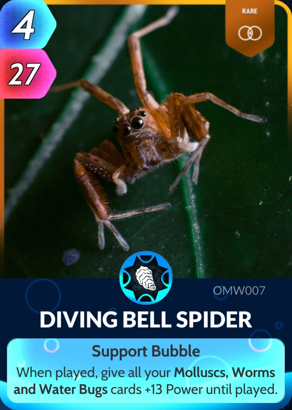 Diving Bell Spider | Cards, the Universe and Everything Wiki | Fandom