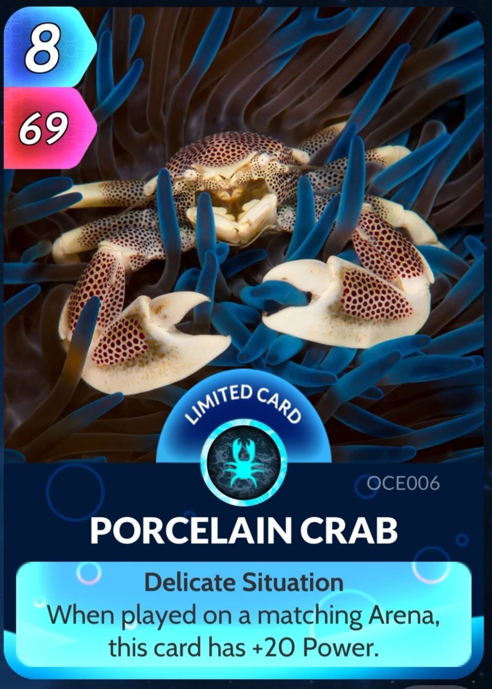 Porcelain Crab | Cards, the Universe and Everything Wiki | Fandom