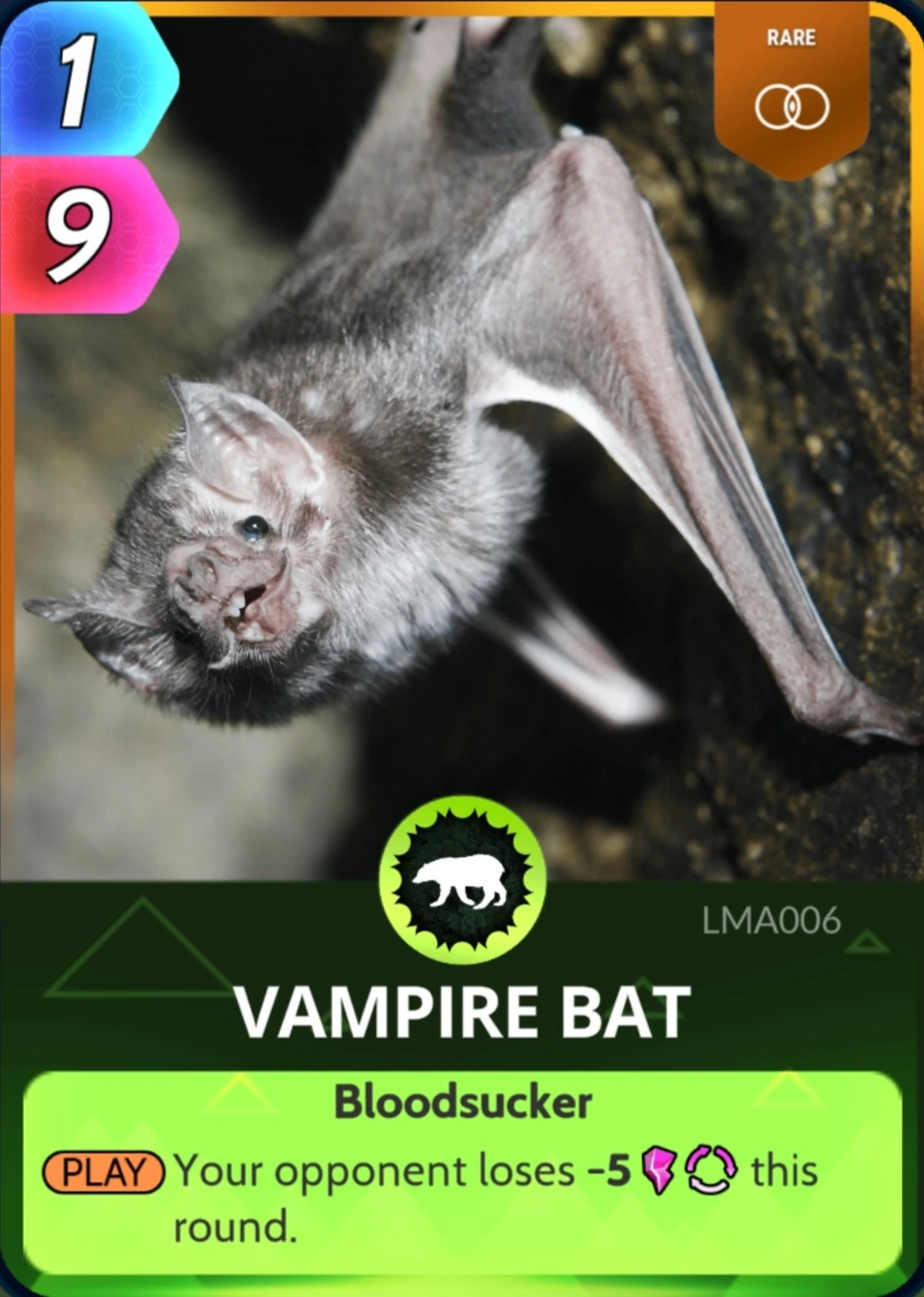 Vampire Bat | Cards, the Universe and Everything Wiki | Fandom
