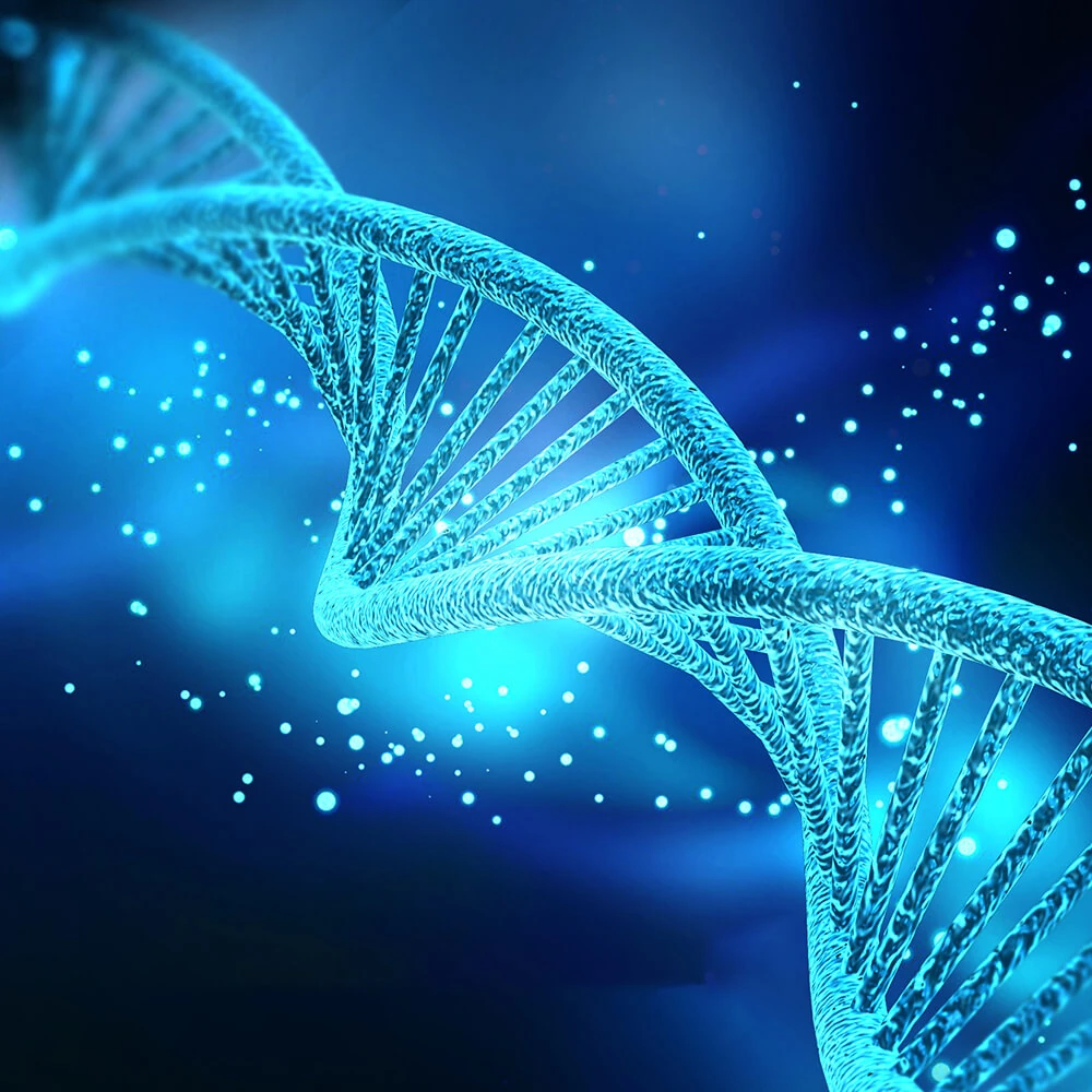 DNA | Cards, the Universe and Everything Wiki | Fandom