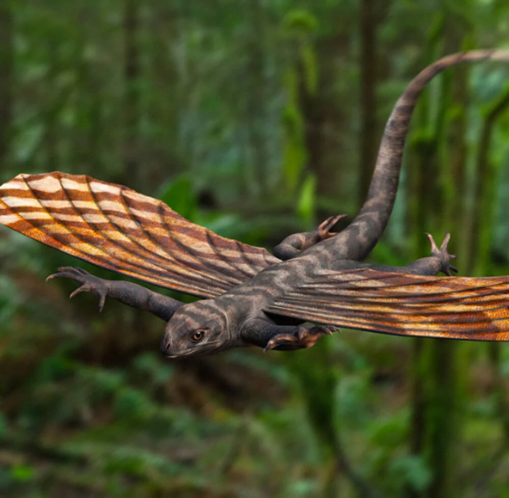 Icarosaurus | Cards, the Universe and Everything Wiki | Fandom