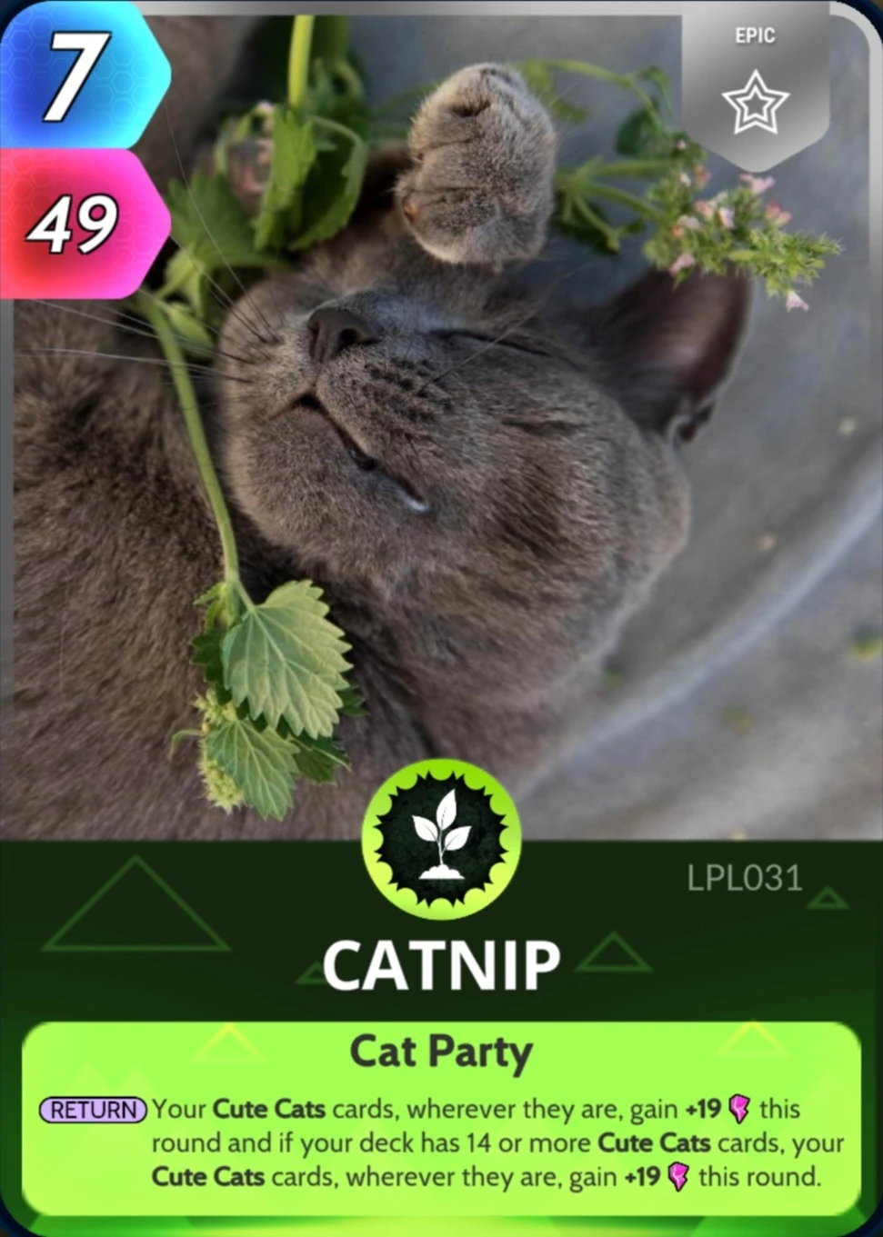 Catnip | Cards, the Universe and Everything Wiki | Fandom