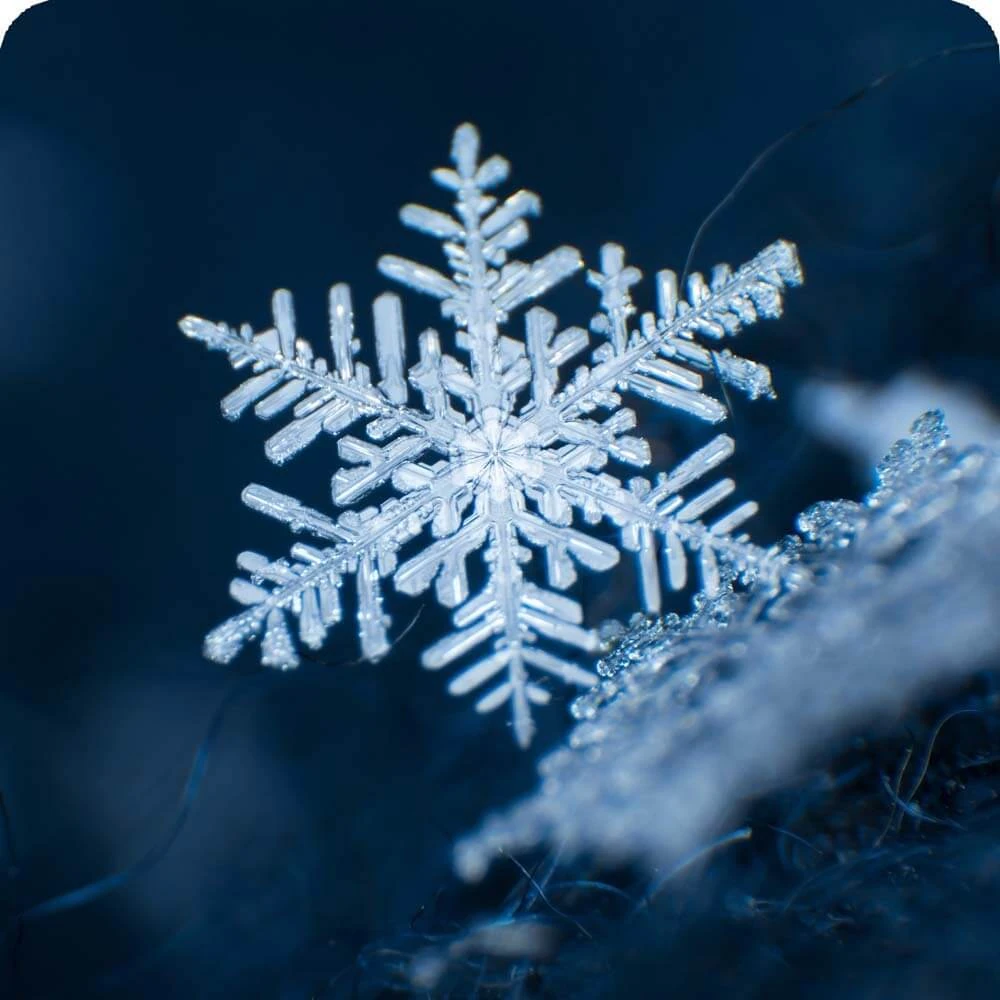 Snowflakes | Cards, the Universe and Everything Wiki | Fandom