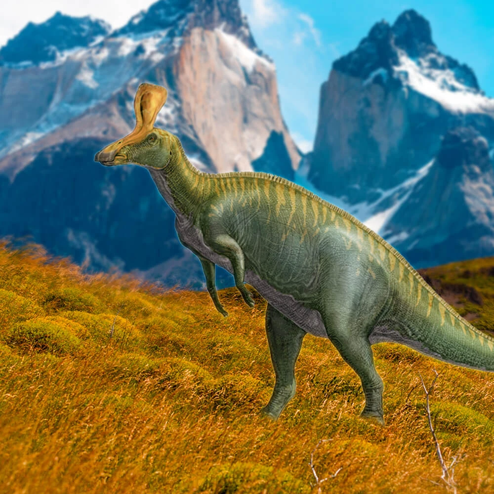 Tsintaosaurus | Cards, the Universe and Everything Wiki | Fandom