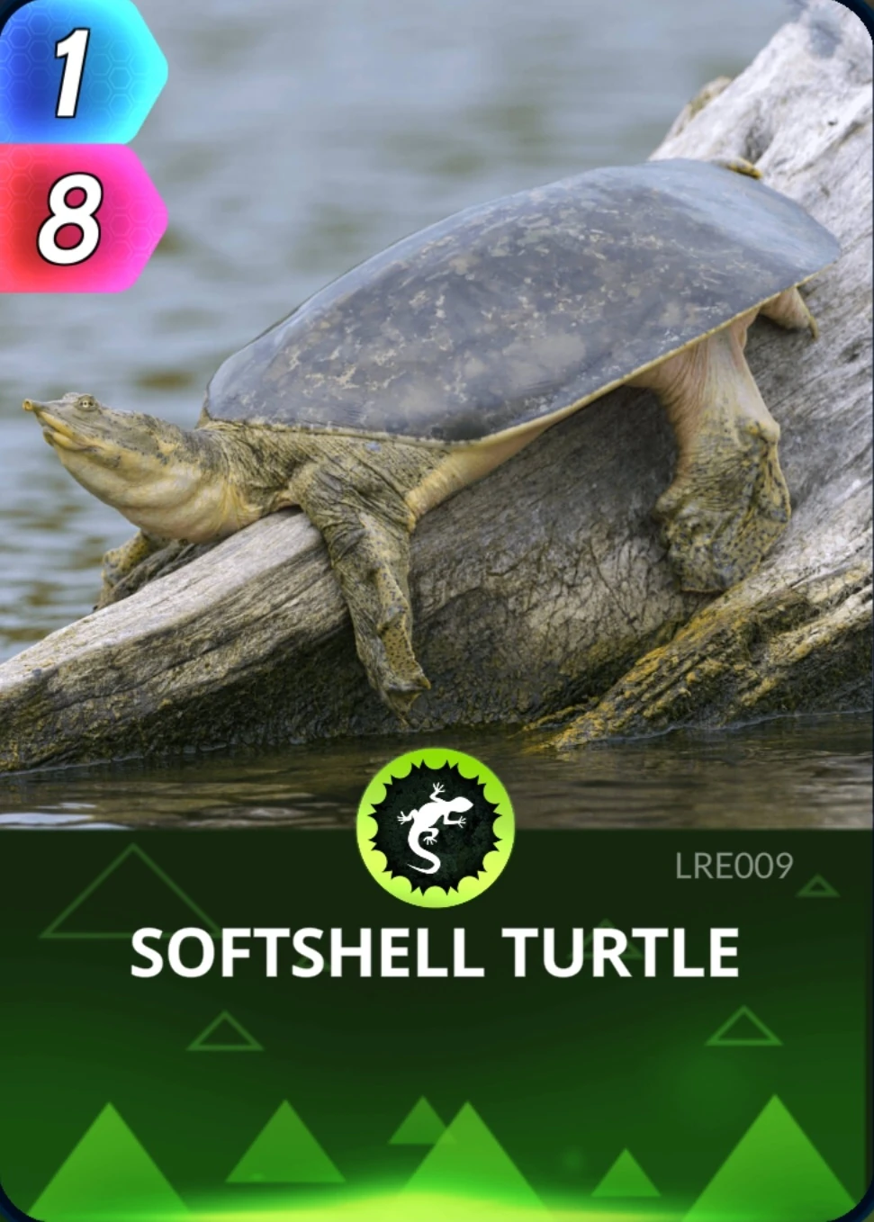 Softshell Turtle | Cards, the Universe and Everything Wiki | Fandom