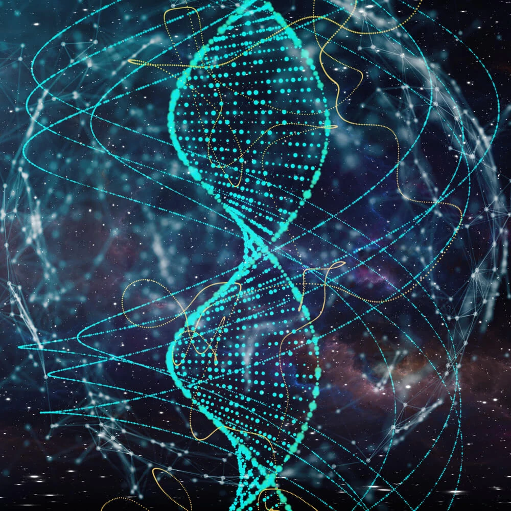 Immortality Drive | Cards, the Universe and Everything Wiki | Fandom