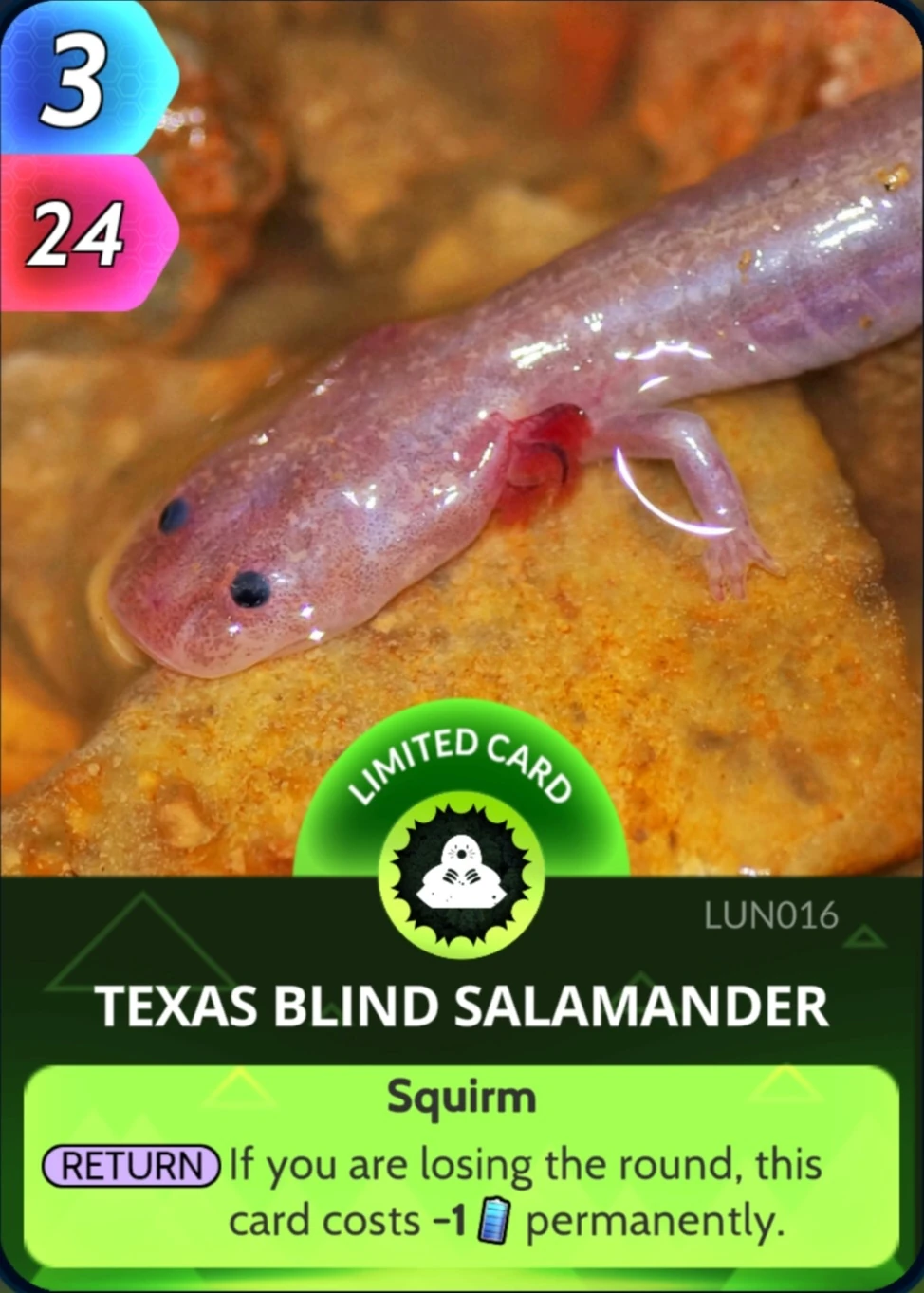 Texas Blind Salamander | Cards, the Universe and Everything Wiki | Fandom