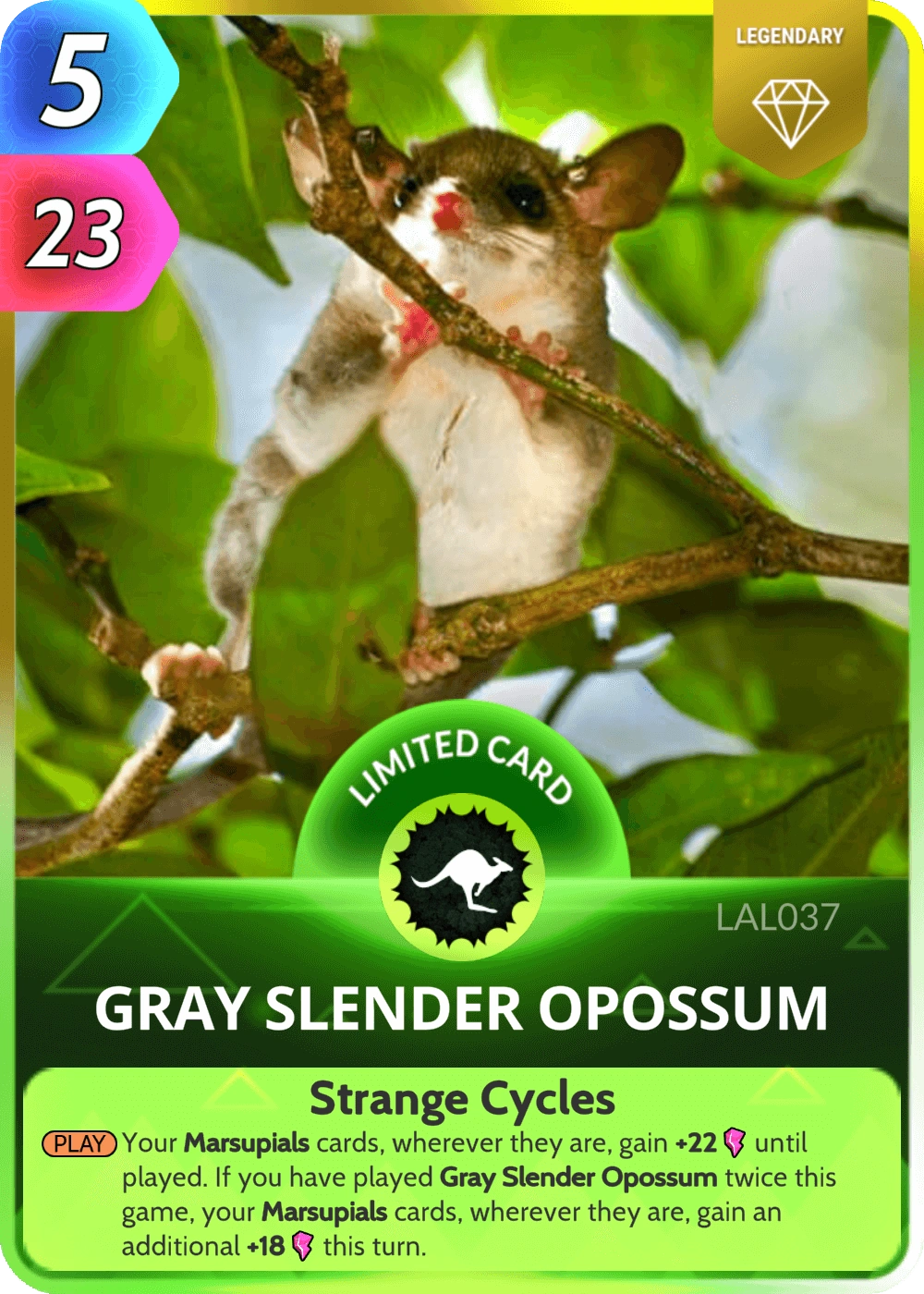 Gray Slender Opossum | Cards, the Universe and Everything Wiki | Fandom