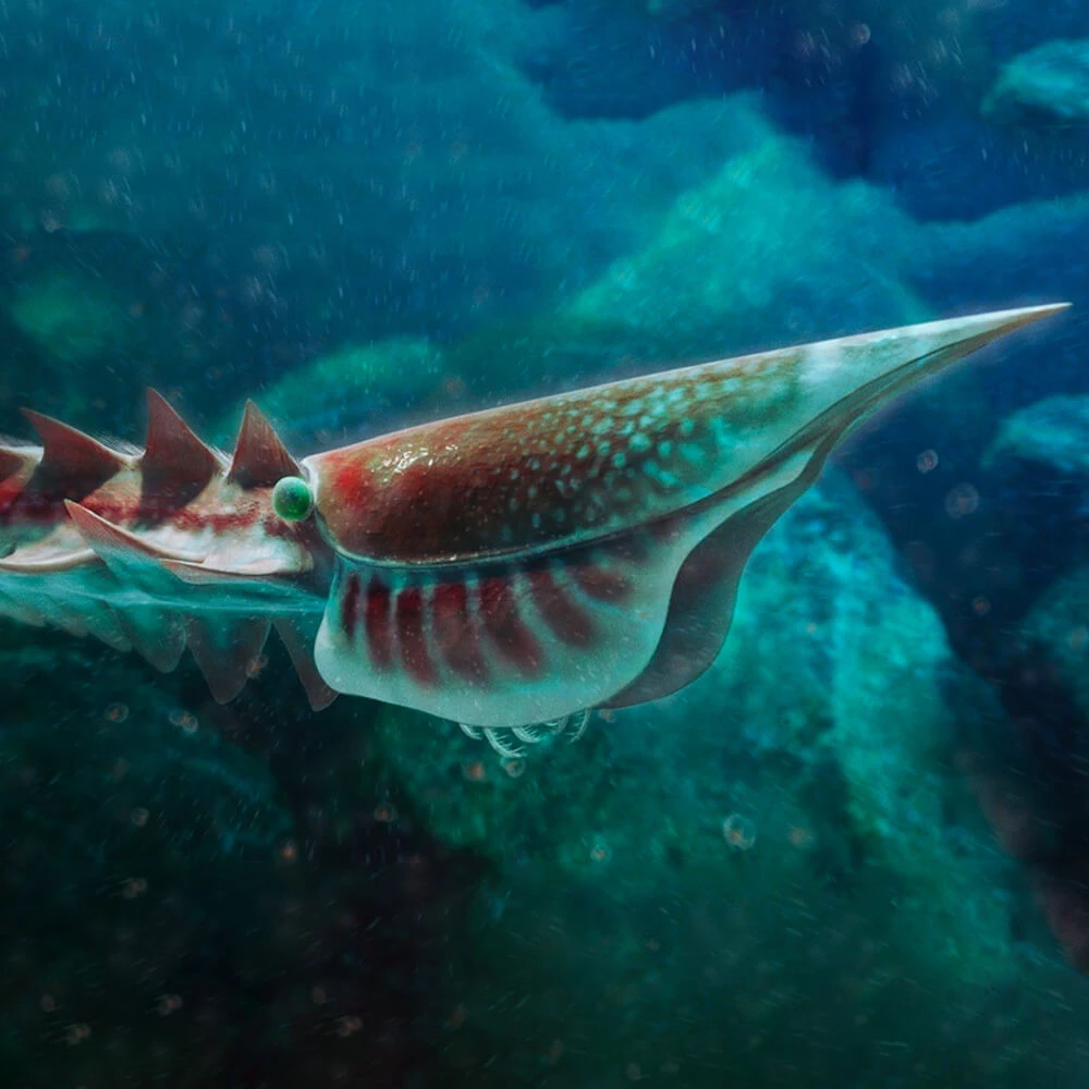 Hurdia | Cards, the Universe and Everything Wiki | Fandom