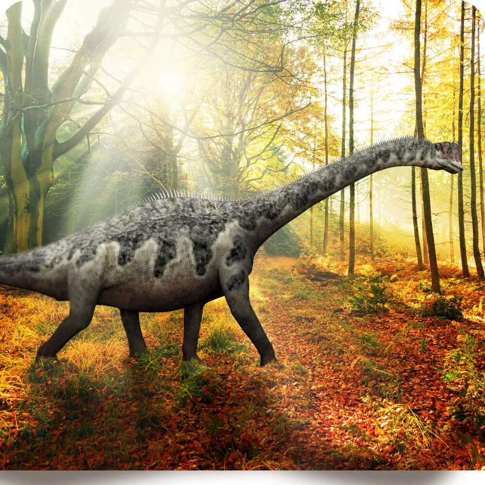 Europasaurus | Cards, the Universe and Everything Wiki | Fandom