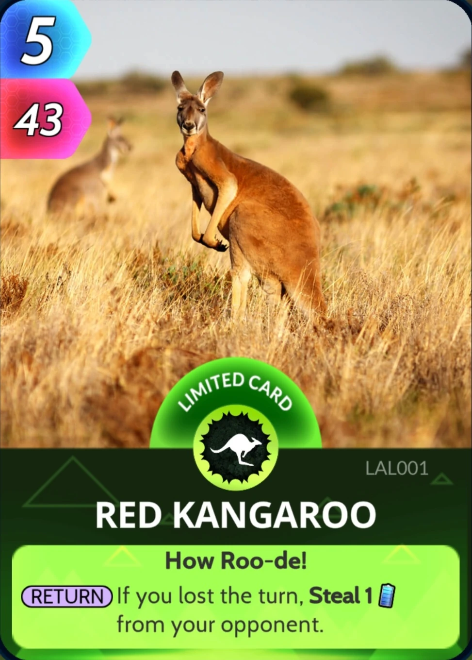 Red Kangaroo | Cards, the Universe and Everything Wiki | Fandom