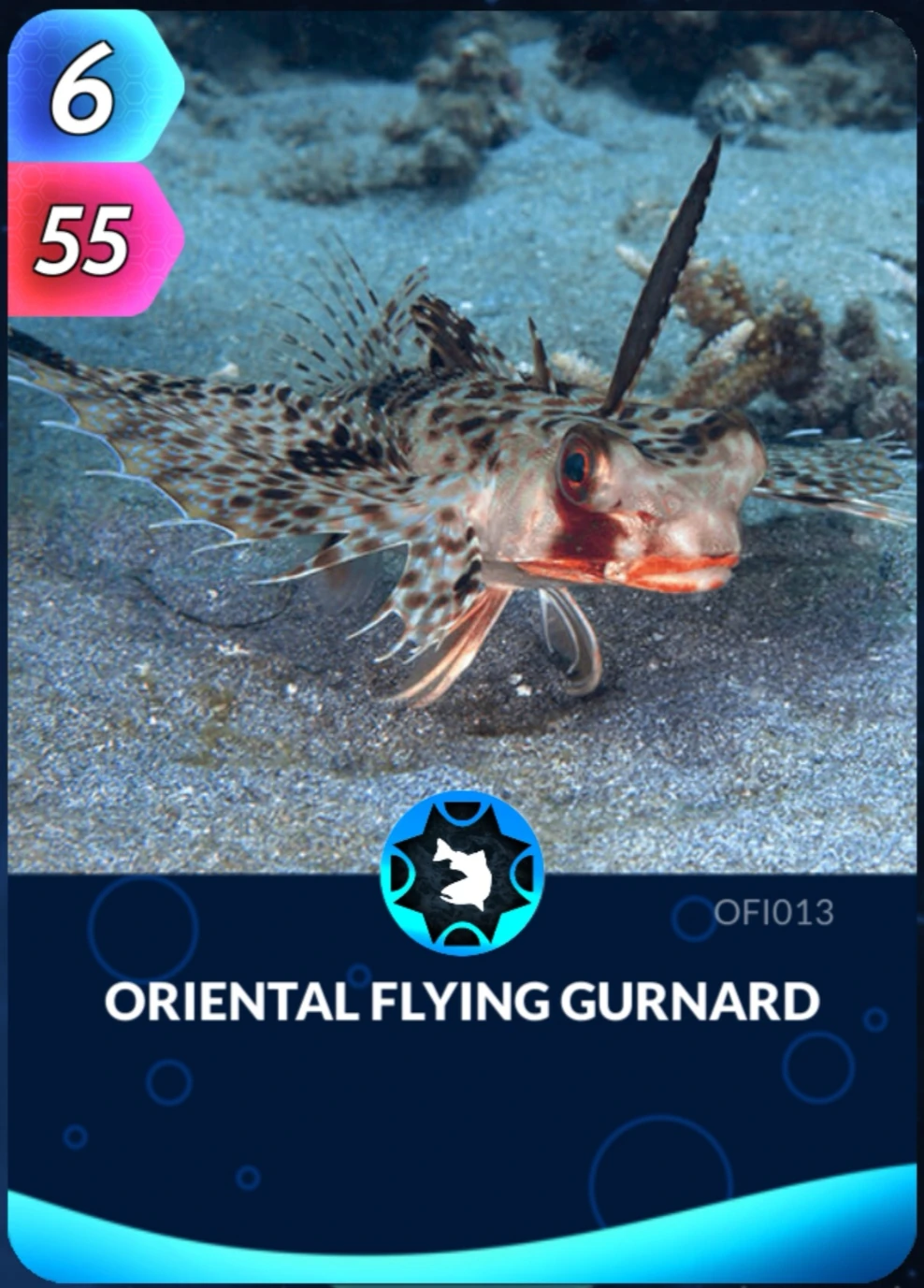 Oriental Flying Gurnard | Cards, the Universe and Everything Wiki | Fandom