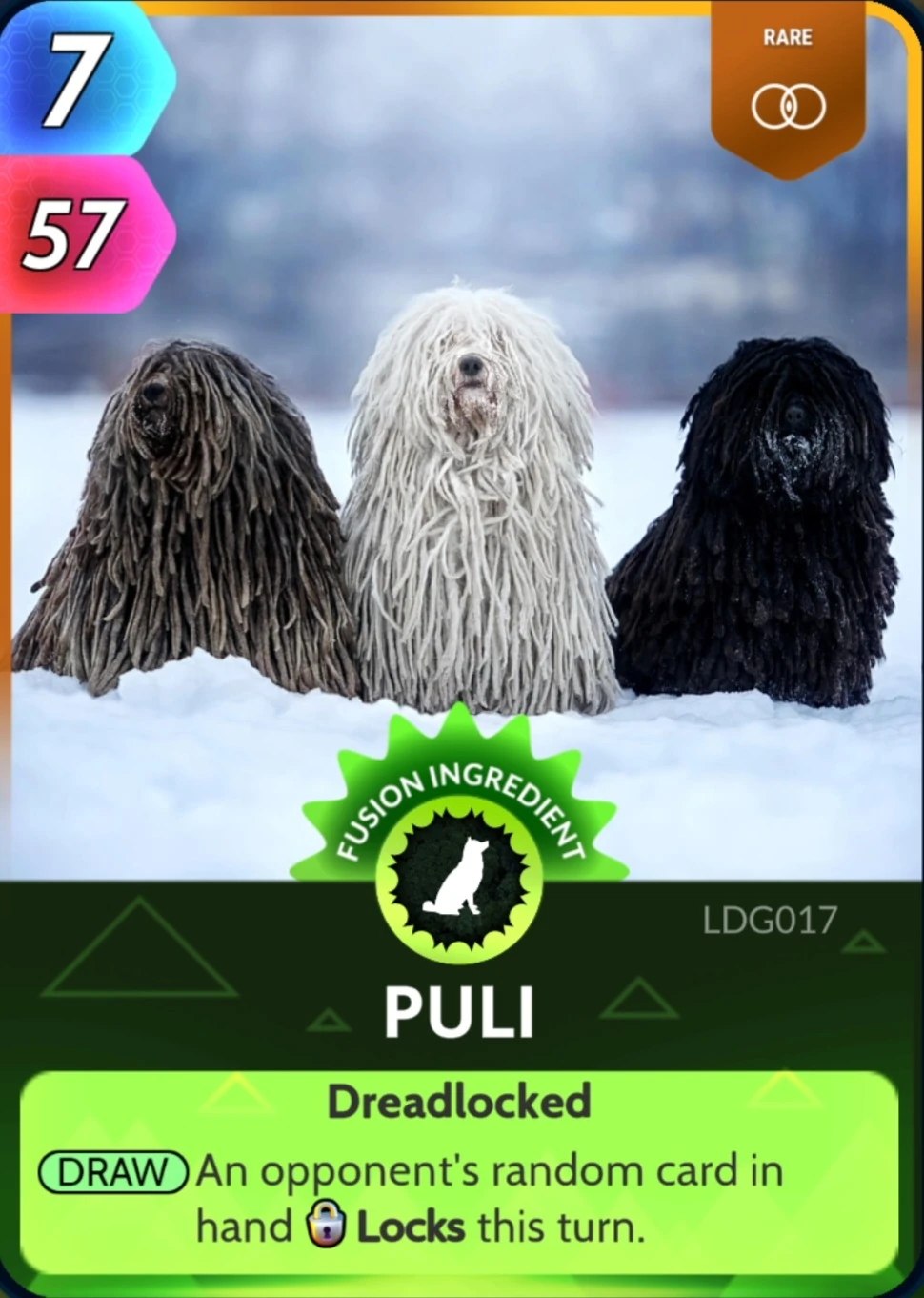 Puli | Cards, the Universe and Everything Wiki | Fandom