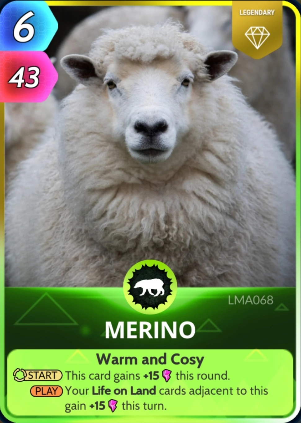 Merino | Cards, the Universe and Everything Wiki | Fandom
