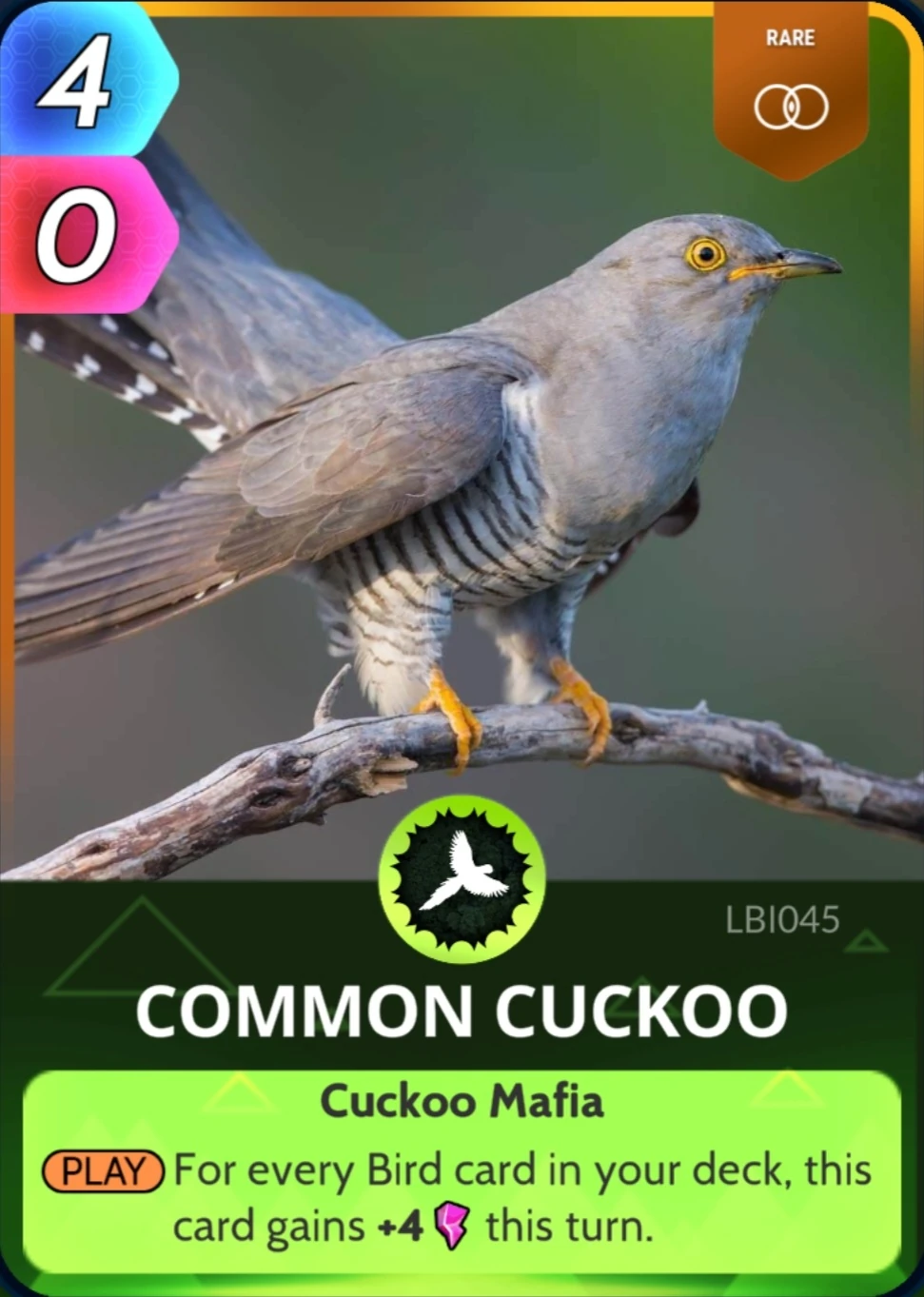 Common Cuckoo | Cards, the Universe and Everything Wiki | Fandom