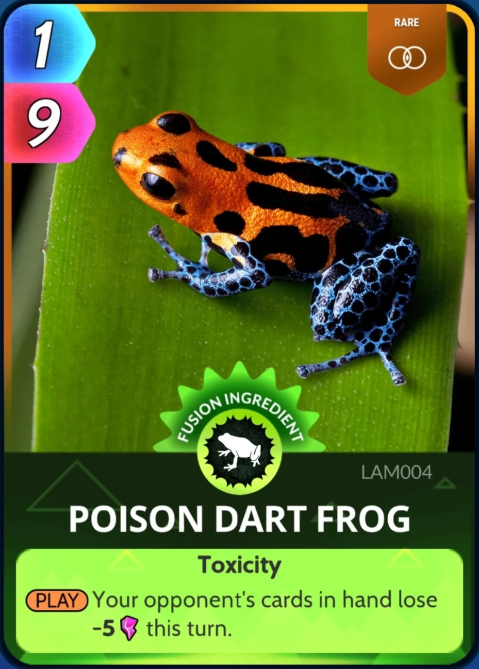 Poison Dart Frog | Cards, the Universe and Everything Wiki | Fandom