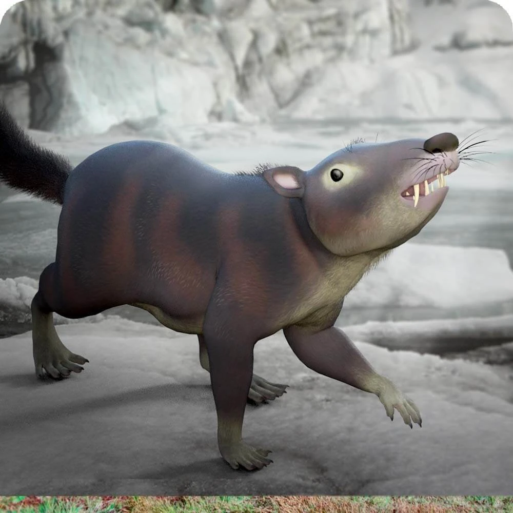 Cronopio | Cards, the Universe and Everything Wiki | Fandom