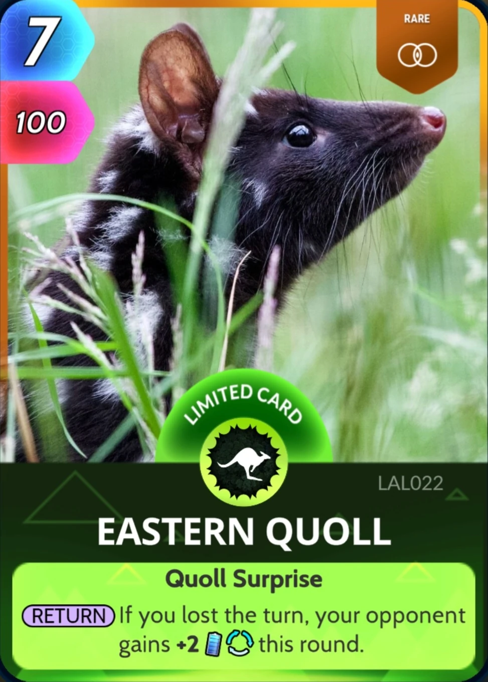 Eastern Quoll | Cards, the Universe and Everything Wiki | Fandom