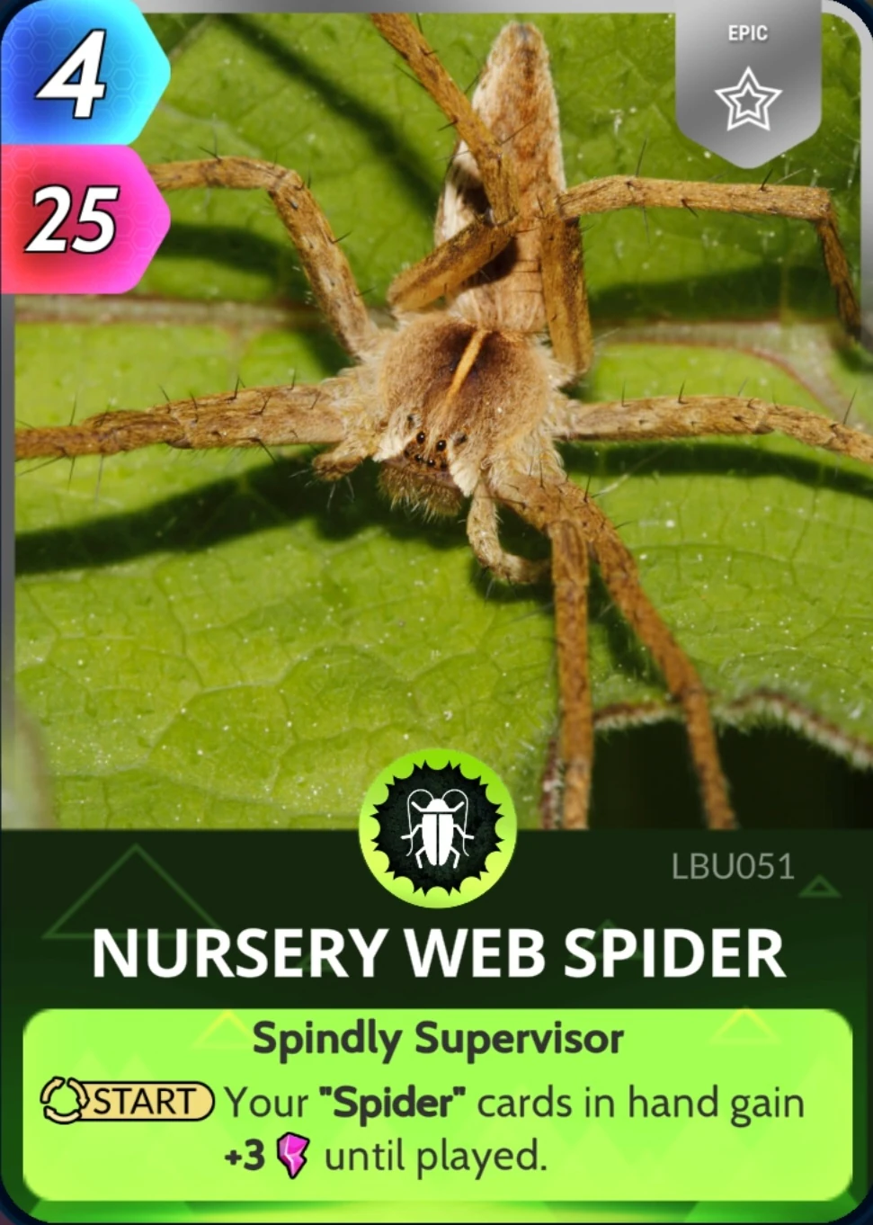 Nursery Web Spider | Cards, the Universe and Everything Wiki | Fandom