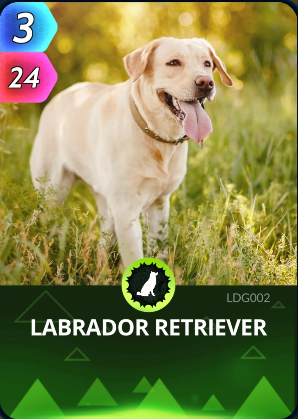 Labrador Retriever | Cards, the Universe and Everything Wiki | Fandom