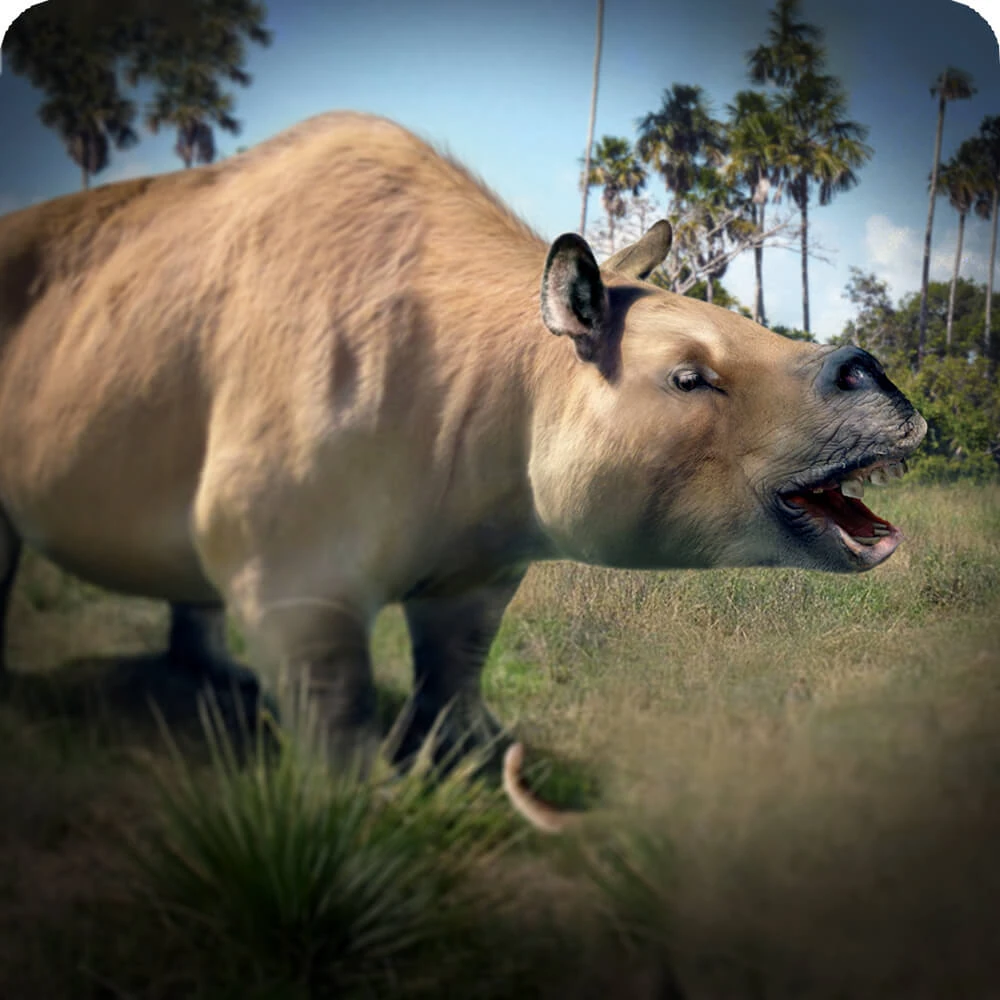 Toxodon | Cards, the Universe and Everything Wiki | Fandom