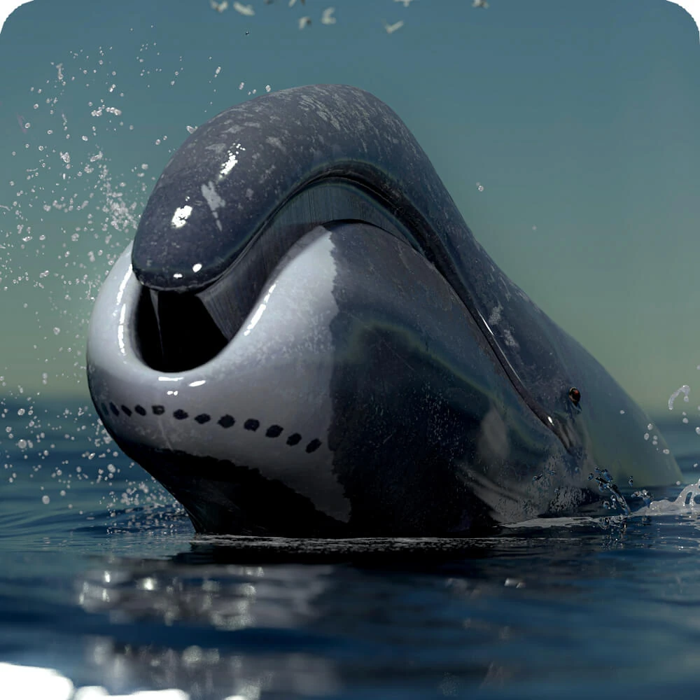 Bowhead Whale | Cards, the Universe and Everything Wiki | Fandom