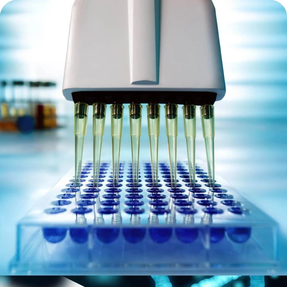 Genetic Identity | Cards, the Universe and Everything Wiki | Fandom