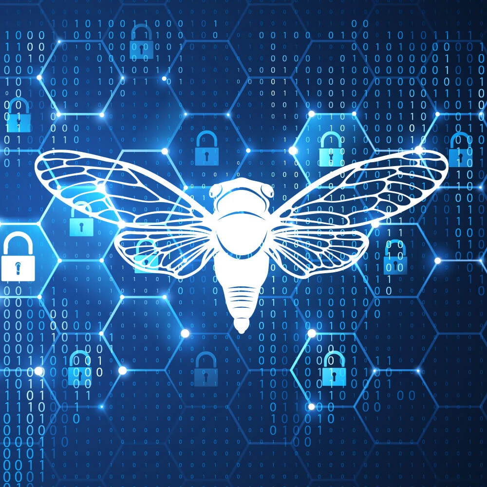 Cicada 3301 | Cards, the Universe and Everything Wiki | Fandom