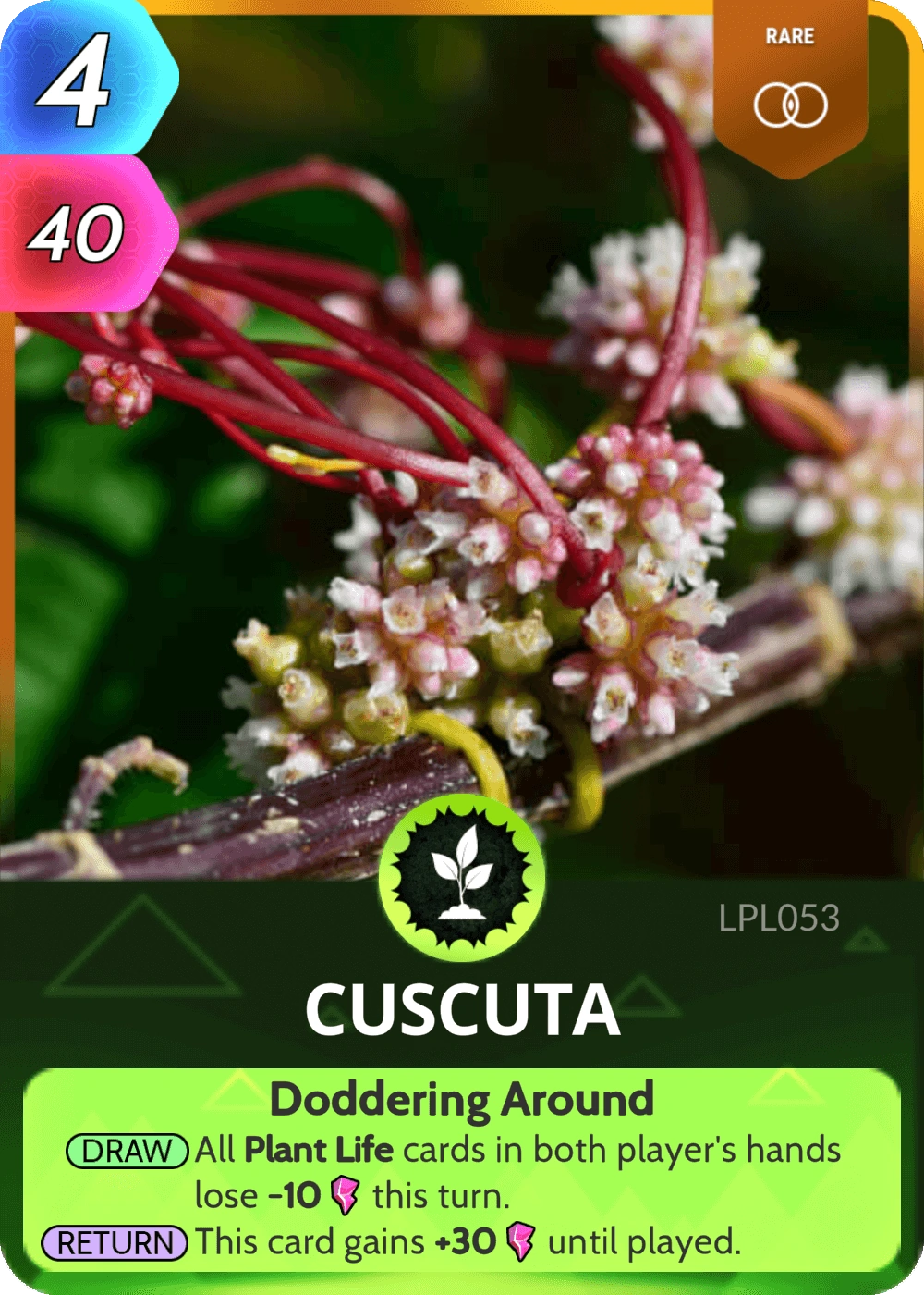 Cuscuta | Cards, the Universe and Everything Wiki | Fandom
