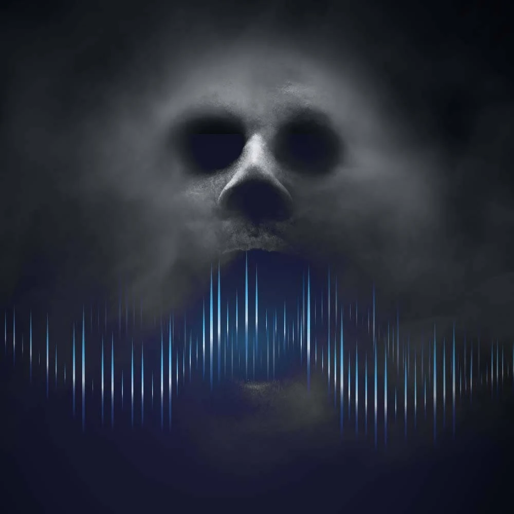 Electronic Voice Phenomena | Cards, the Universe and Everything Wiki ...