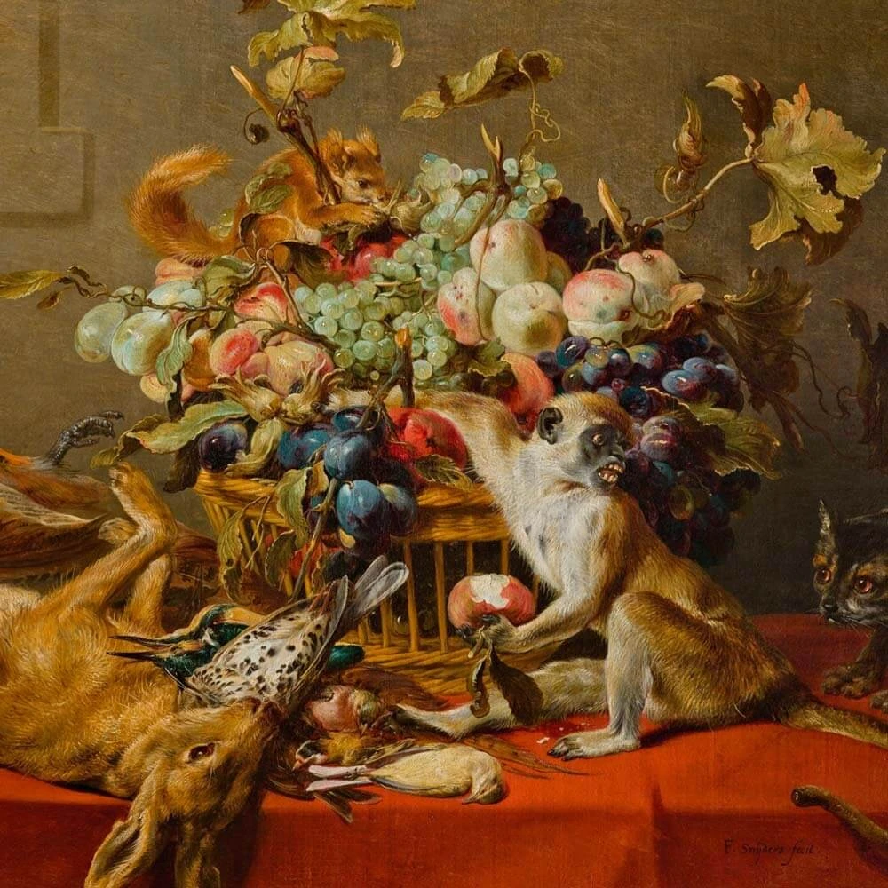 Frans Snyders | Cards, the Universe and Everything Wiki | Fandom