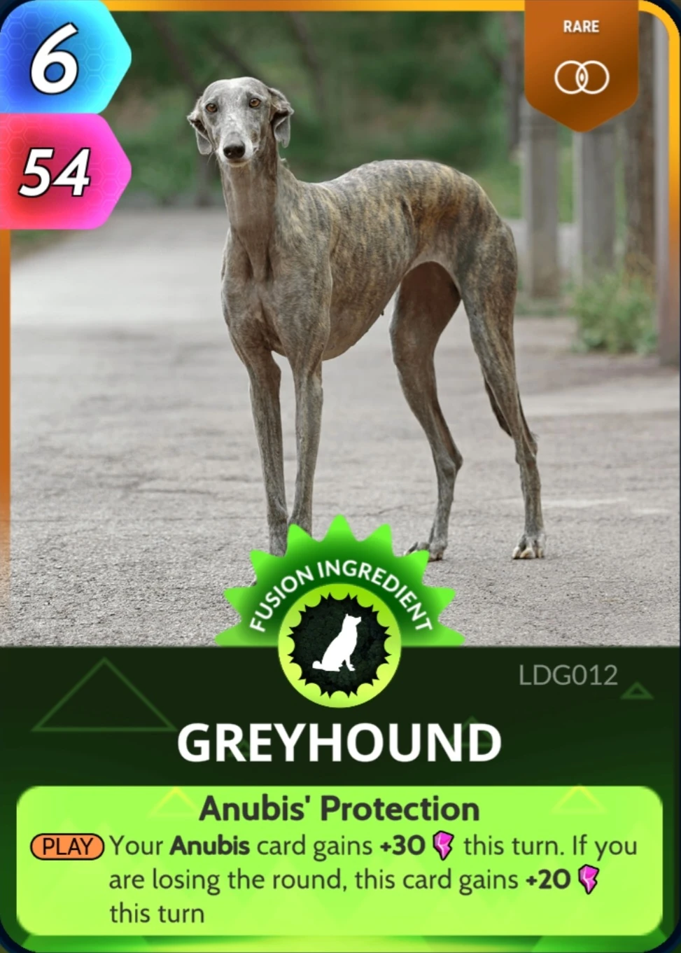 Greyhound | Cards, the Universe and Everything Wiki | Fandom