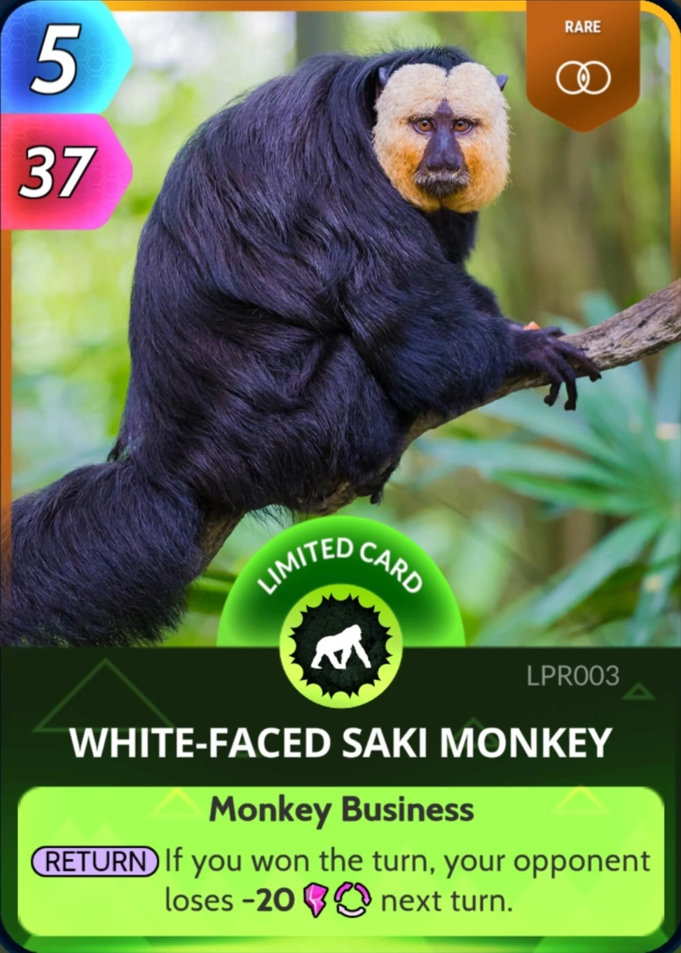 White-Faced Saki Monkey | Cards, the Universe and Everything Wiki | Fandom