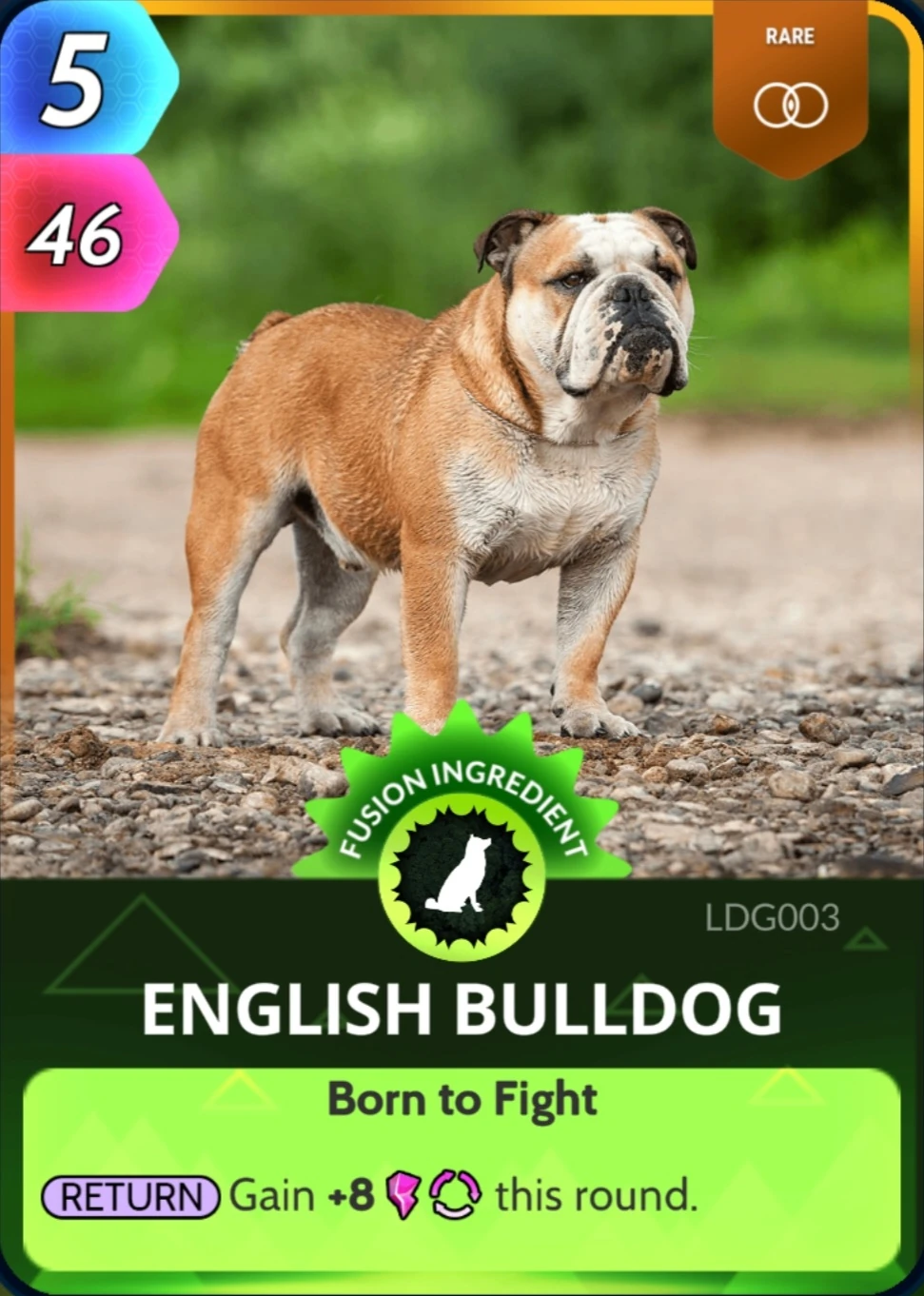 English Bulldog | Cards, the Universe and Everything Wiki | Fandom