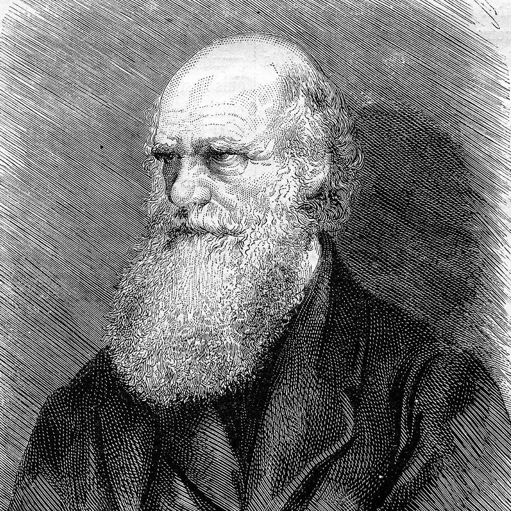 Charles Darwin | Cards, the Universe and Everything Wiki | Fandom