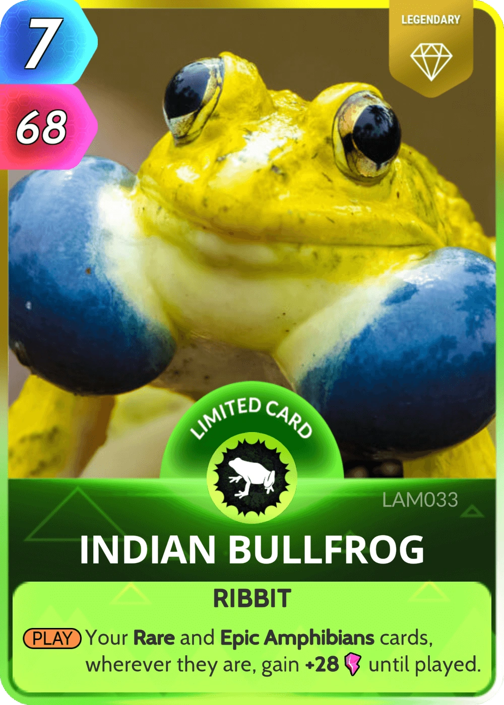 Indian Bullfrog | Cards, the Universe and Everything Wiki | Fandom