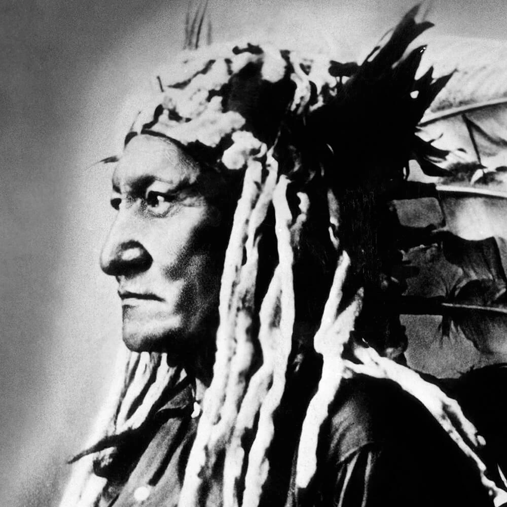 Sitting Bull | Cards, the Universe and Everything Wiki | Fandom