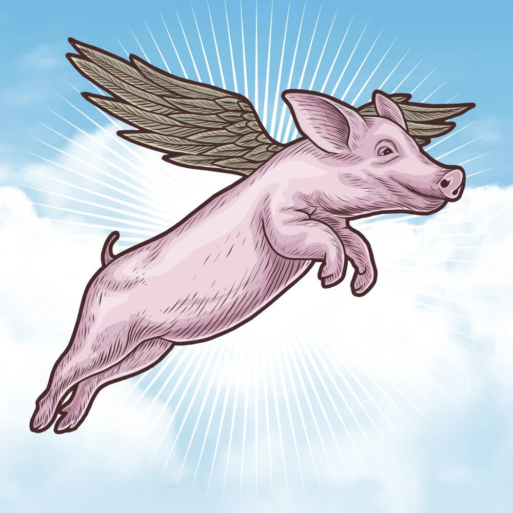 When Pigs Fly | Cards, the Universe and Everything Wiki | Fandom