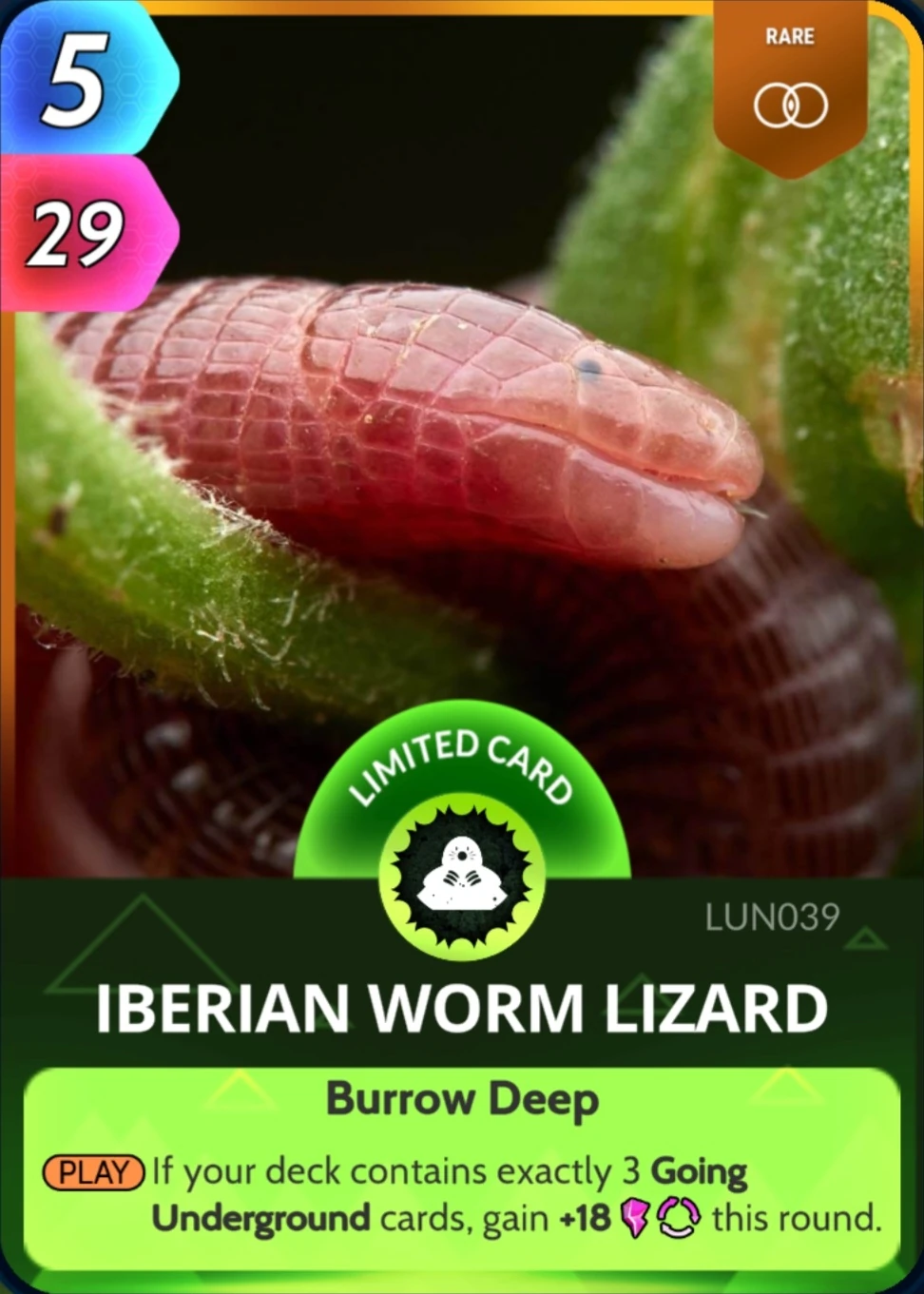 Iberian Worm Lizard | Cards, the Universe and Everything Wiki | Fandom