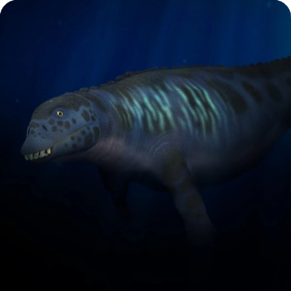 Placodus | Cards, the Universe and Everything Wiki | Fandom