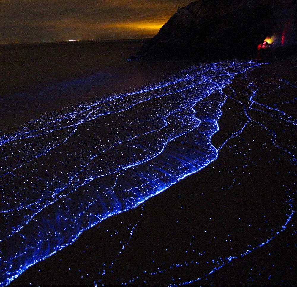 Sea Sparkle | Cards, the Universe and Everything Wiki | Fandom