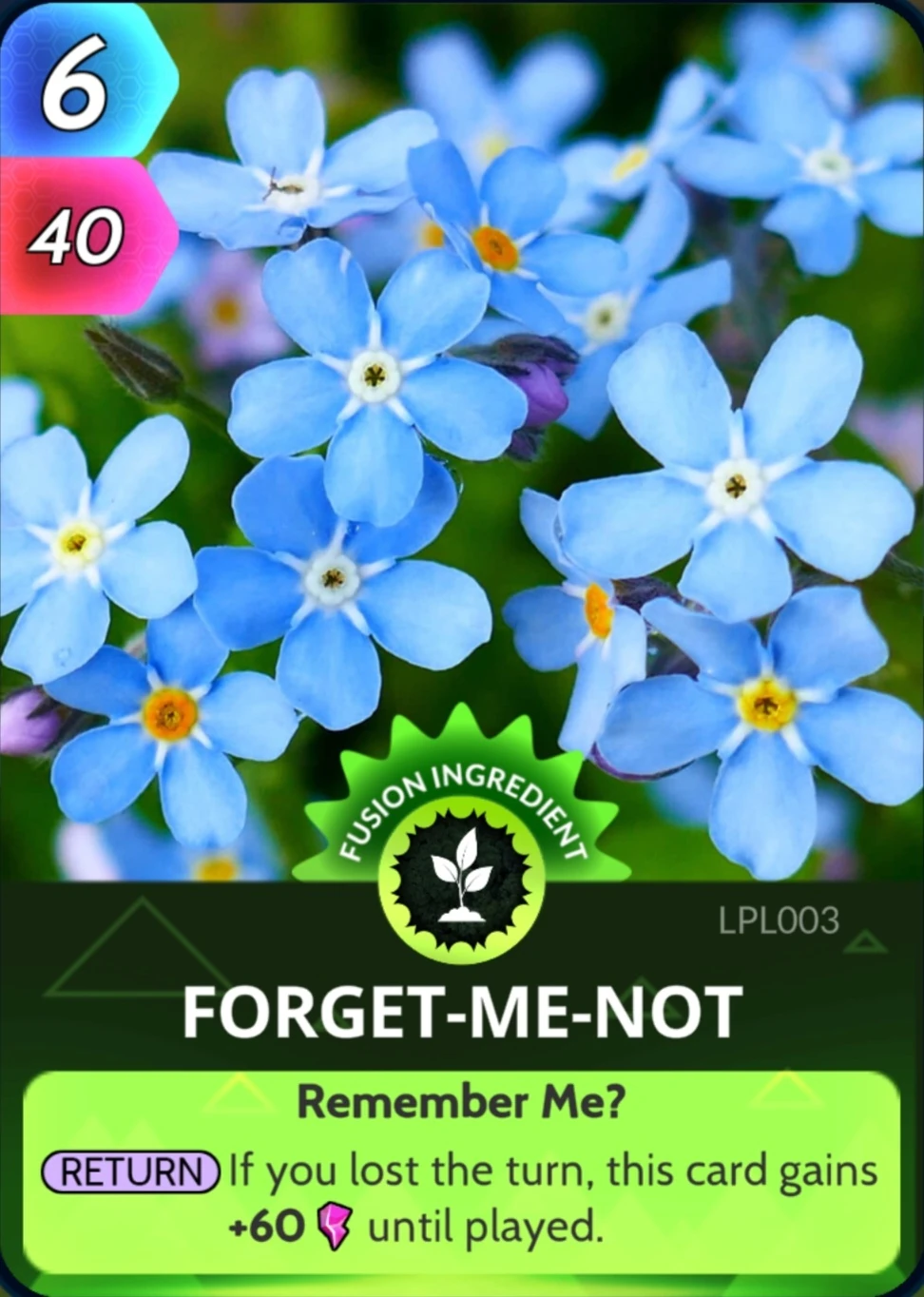 Forget-Me-Not | Cards, the Universe and Everything Wiki | Fandom