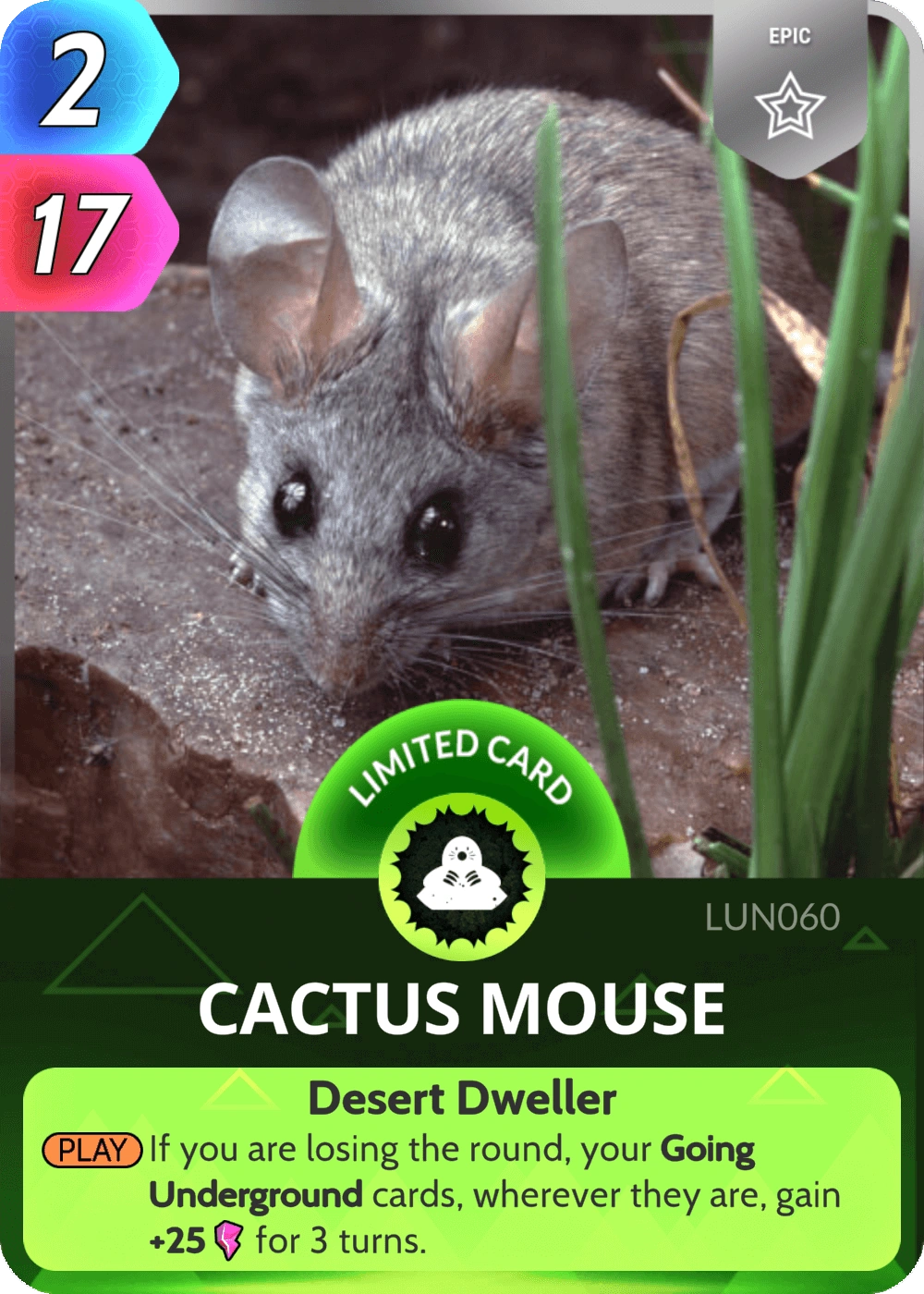Cactus Mouse | Cards, the Universe and Everything Wiki | Fandom