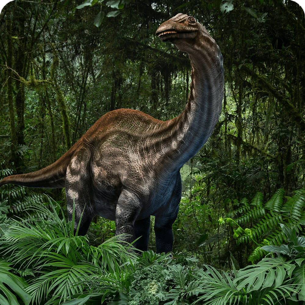 Brontosaurus | Cards, the Universe and Everything Wiki | Fandom