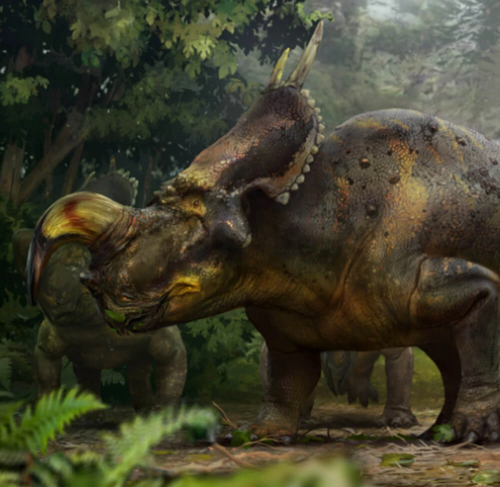 Einiosaurus | Cards, the Universe and Everything Wiki | Fandom