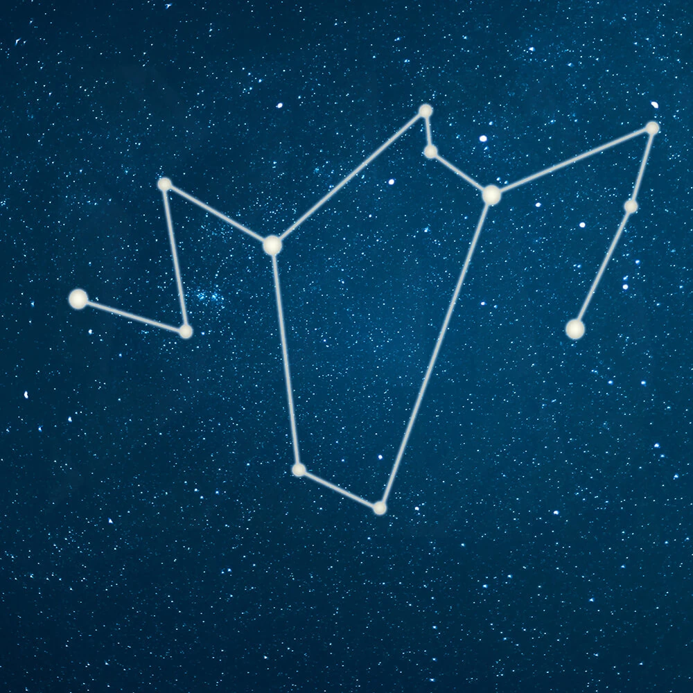 Phoenix Constellation | Cards, the Universe and Everything Wiki | Fandom