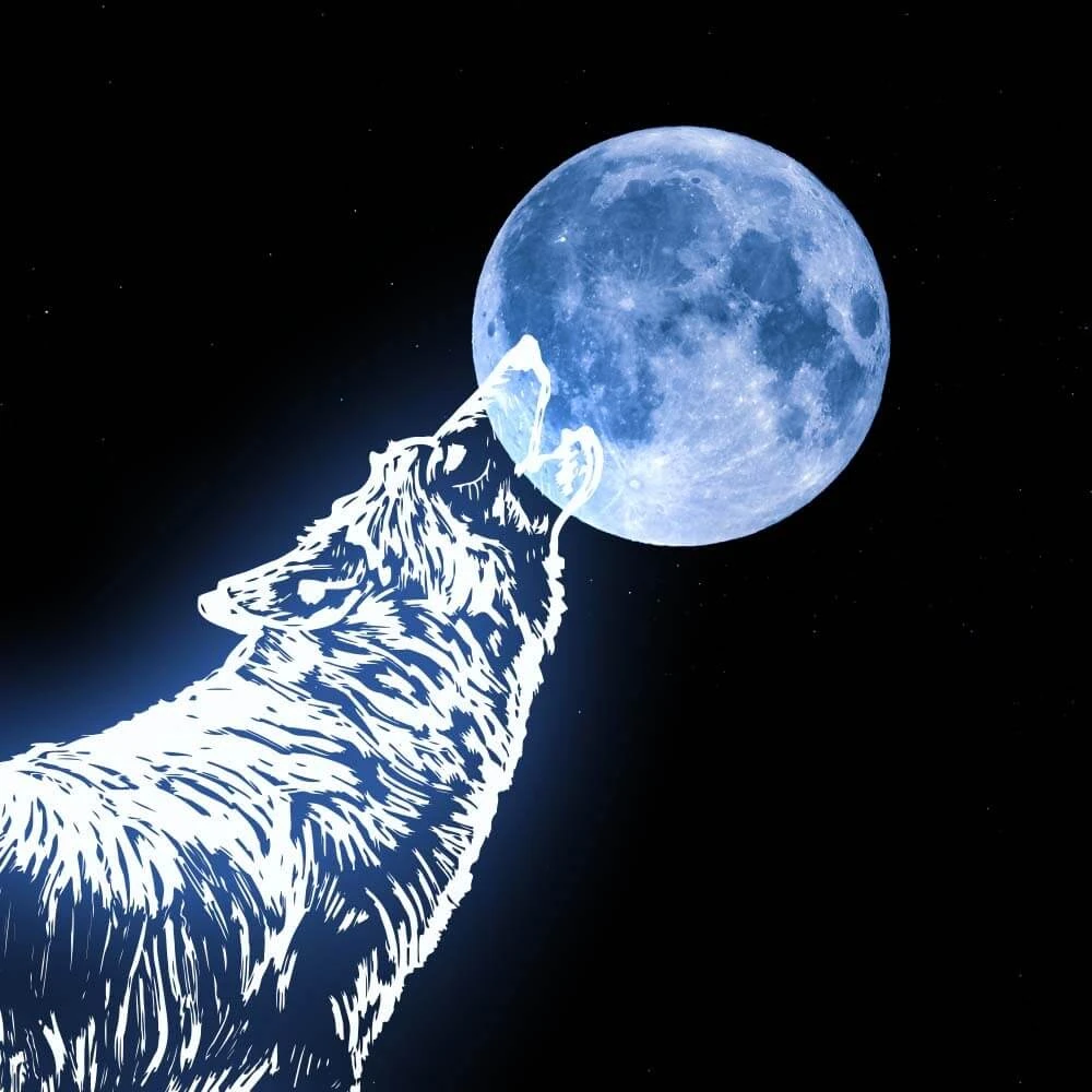 Wolf Moon | Cards, the Universe and Everything Wiki | Fandom